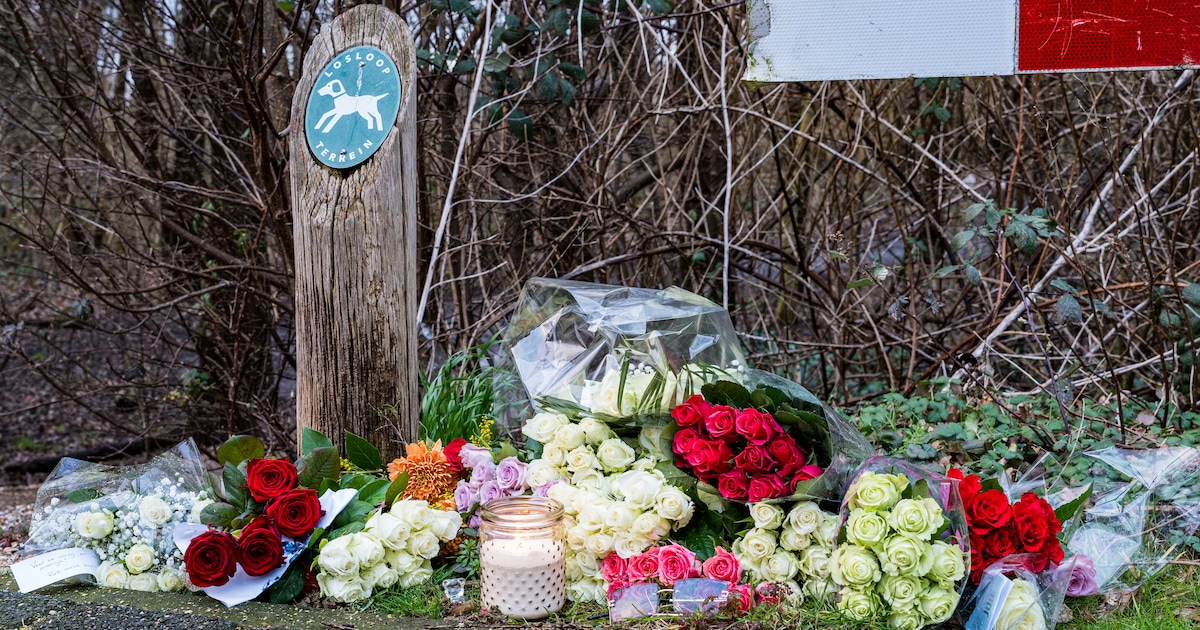 Wat zegt jeugdstrafrecht als moordverdachte pas 13 jaar is? ‘Ouders ...