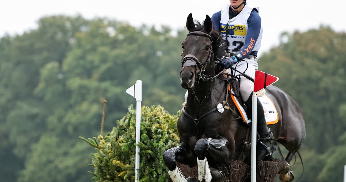 Foutloze rit en kippenvel voor twee van de drie Twentse crossruiters in ...