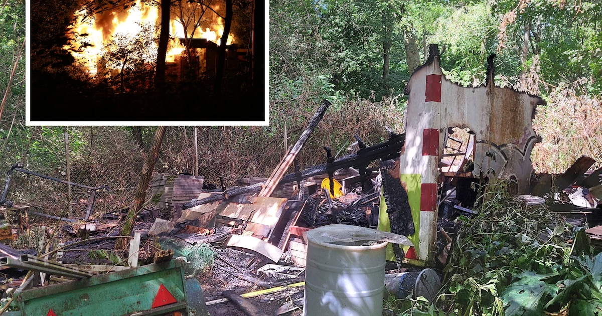 Zeker 100.000 bijen gedood bij brand in Delftse Hout: ‘Ik ben er ...