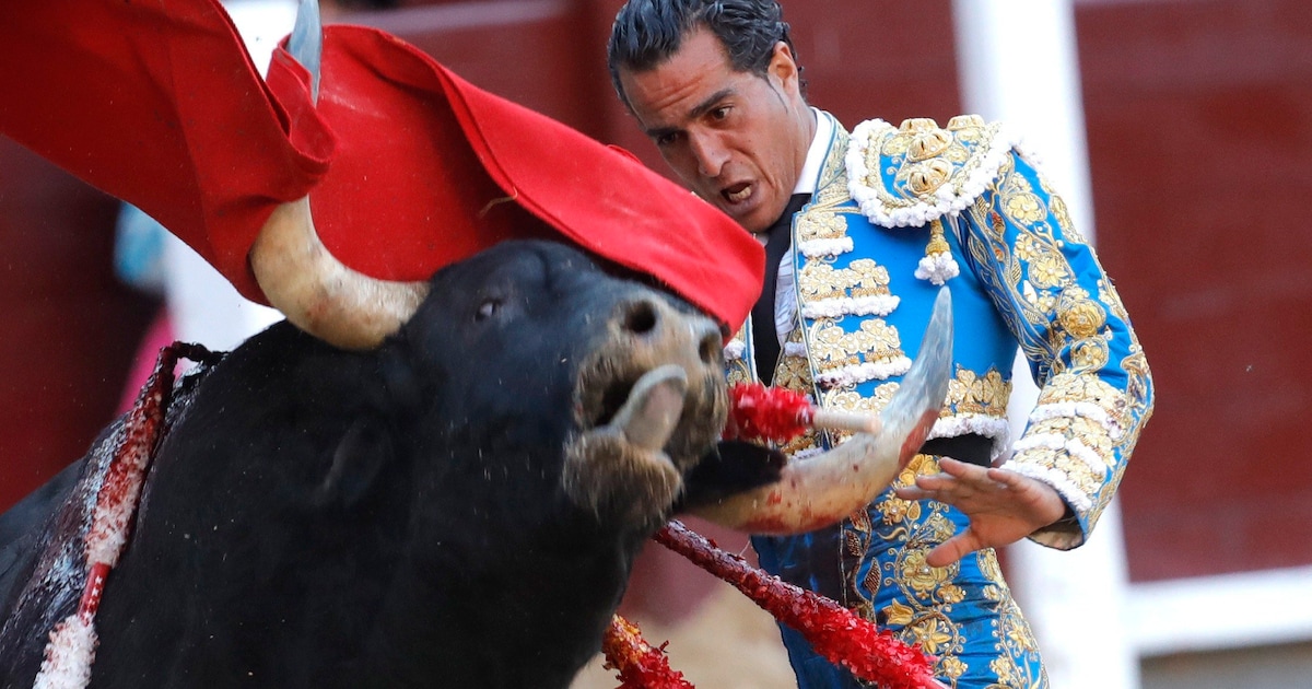 Stier doorboort Spaanse matador bij stierengevecht | Bizar | AD.nl