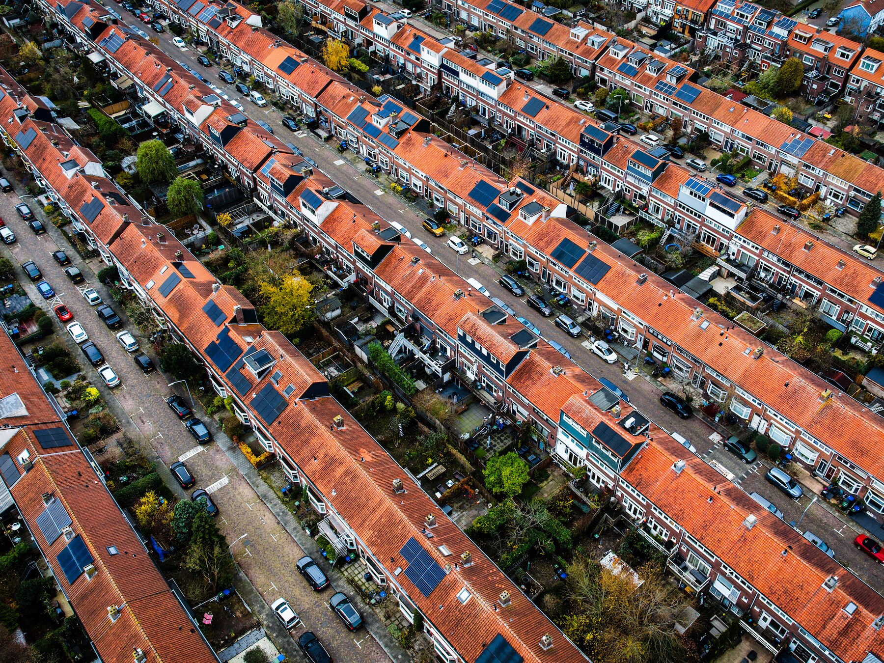 Bloedafname voortaan op afspraak in het ASz om wachttijd te verkorten | Dordrecht | AD.nl