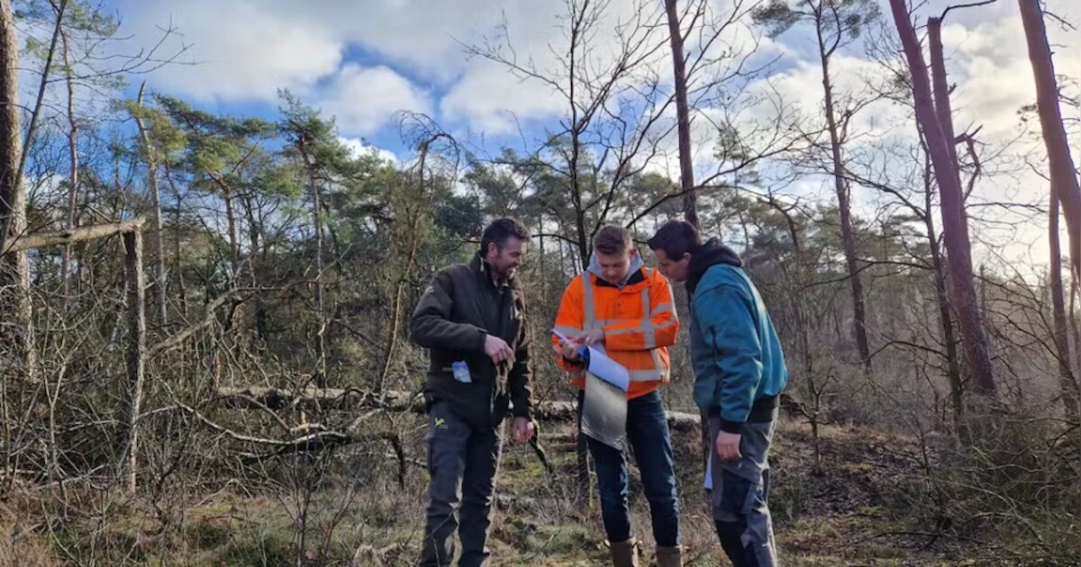 Breeveen in Leersum krijgt ‘stormpad’: ‘Effect valwind goed voor ...