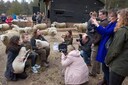 Jill adopteert eerste lammetje in Rheden en ontmoet zieke Britt (8 ...