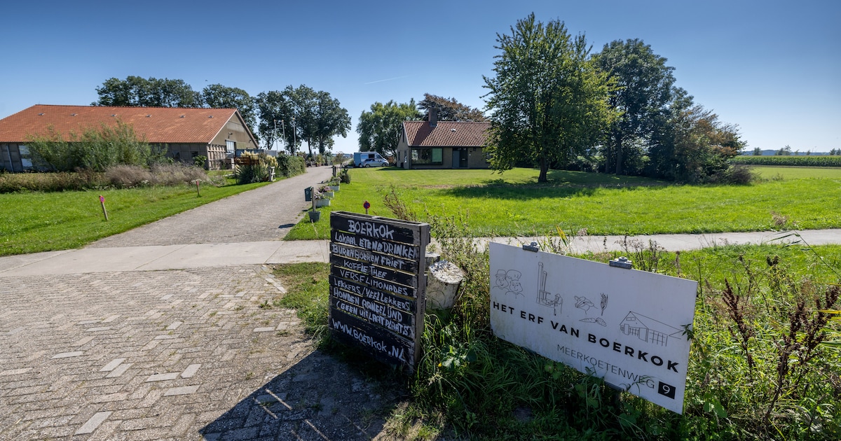 Lelystad geeft 1,3 miljoen euro uit voor ‘strategische aankopen’ van ...