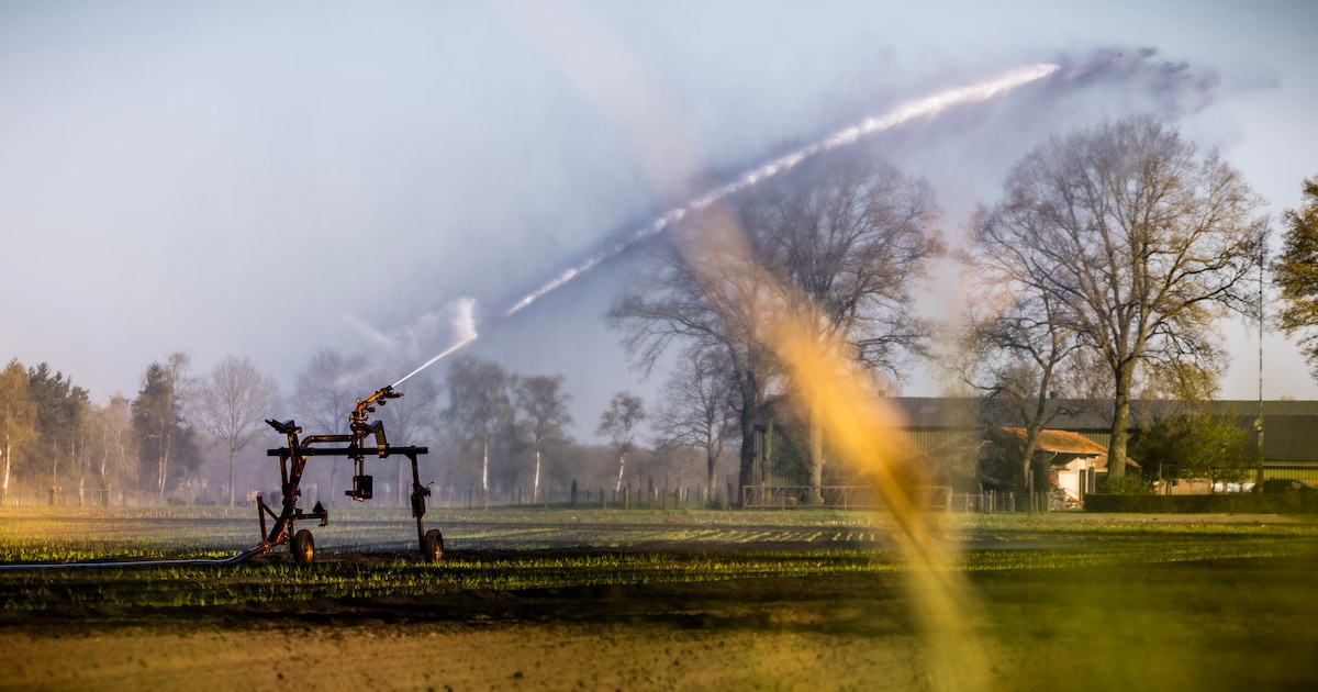 Droogte houdt aan: boeren en Keukenhof kiezen voor beregening | Nieuws ...