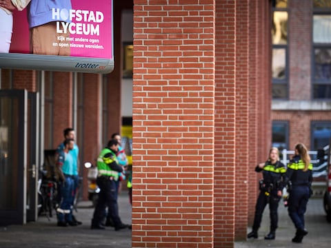 Bestuursvoorzitter Ingrid Wolf vertrekt bij HMC in Den Haag | Den Haag ...