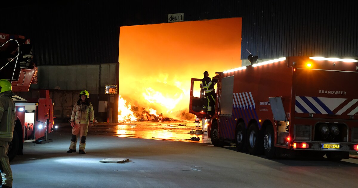 Ruik je een vieze lucht? Dat komt hierdoor | Delft | AD.nl