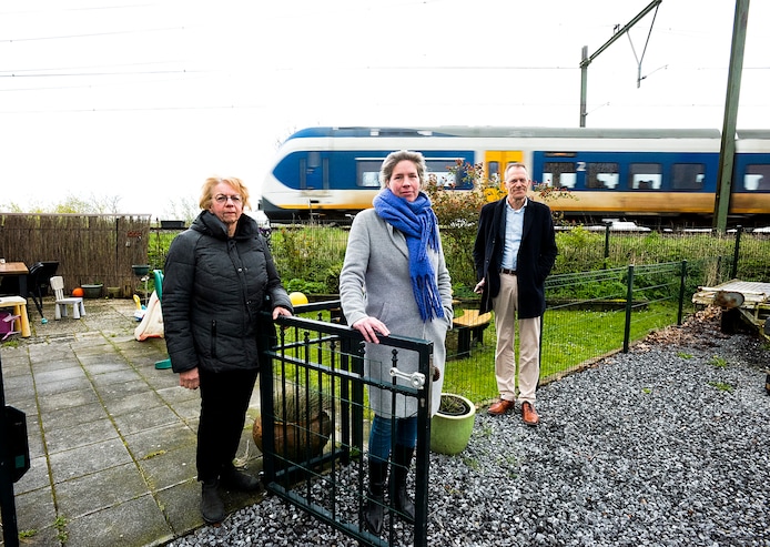 Metershoog scherm in achtertuin gaat uitzicht van Mariska verpesten ...