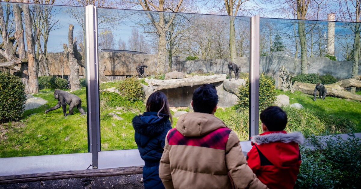 Diergaarde Blijdorp verloot unieke prijzen tijdens bijzondere loterij ...