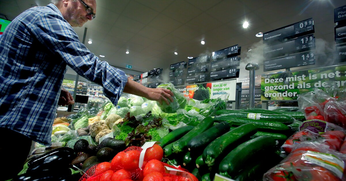 Speciale nevel houdt de groente lekker fris | Dordrecht | AD.nl