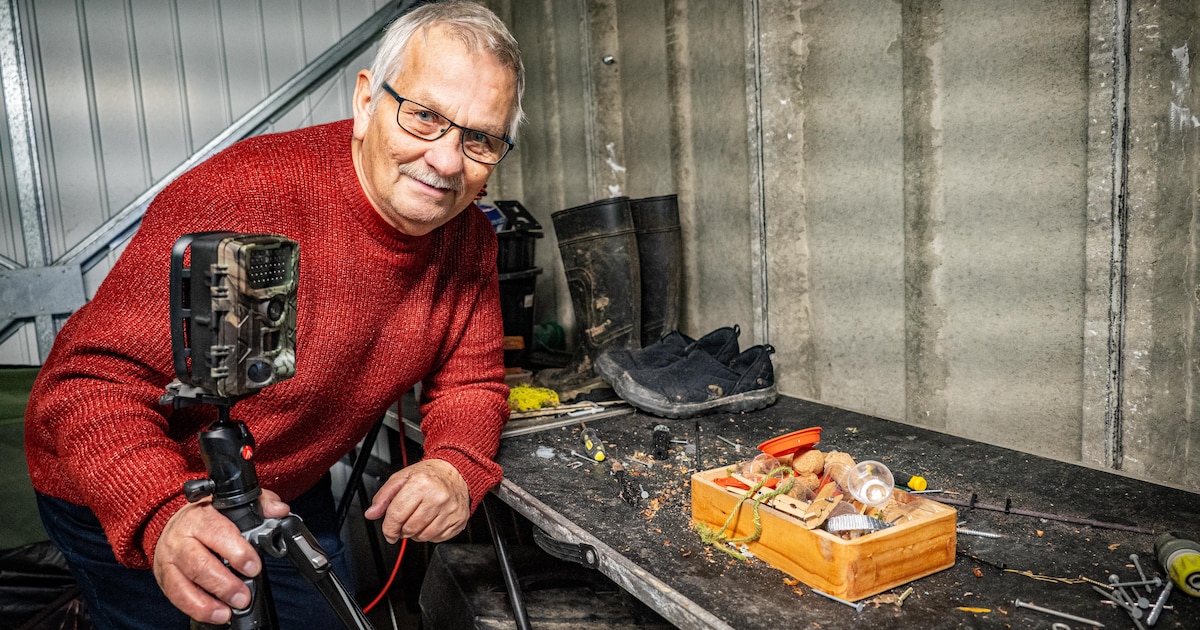 Man filmt muis die iedere nacht zijn schuurtje opruimt | Buitenland | AD.nl