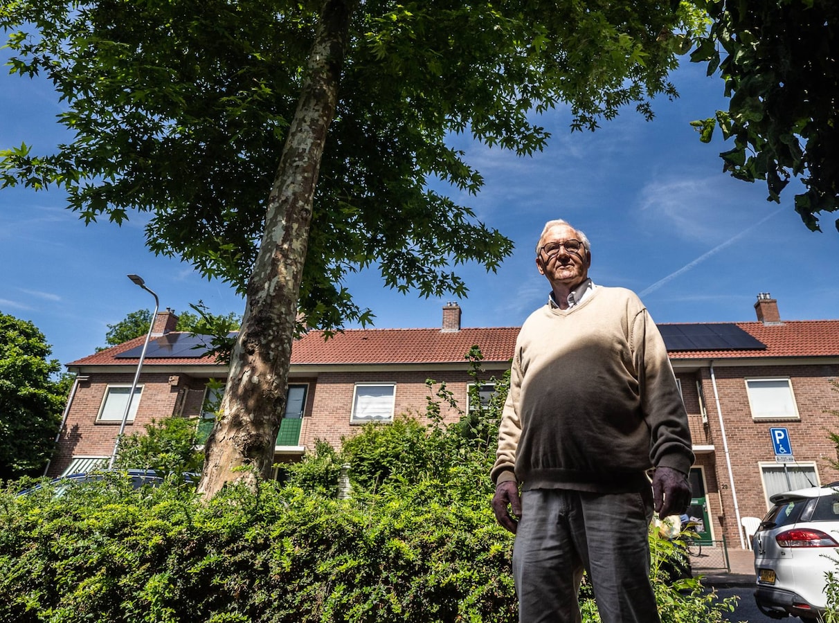 Deze boom is ‘de boosdoener’ van de straat: Jan (80) en zijn buren ...