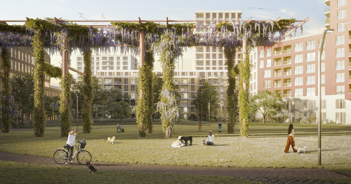 Twee van de lelijkste plekken van Tilburg verdwijnen: stad wordt groen ...