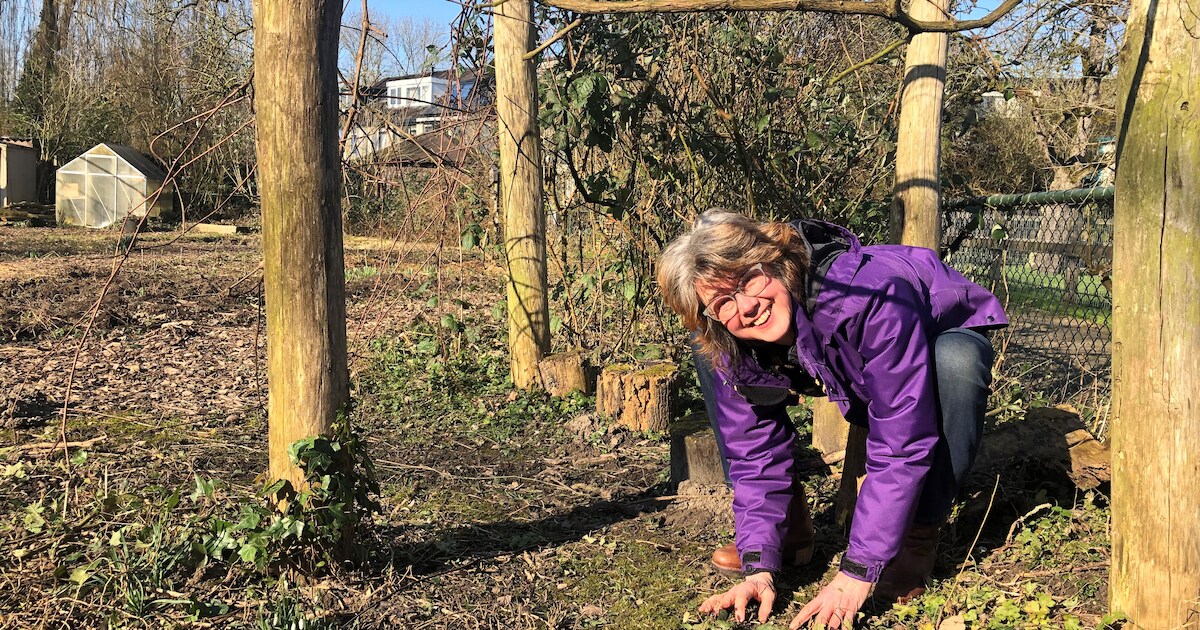 Eerste lentedag op komst: bij de stadstuinen van Utrecht Natuurlijk is ...
