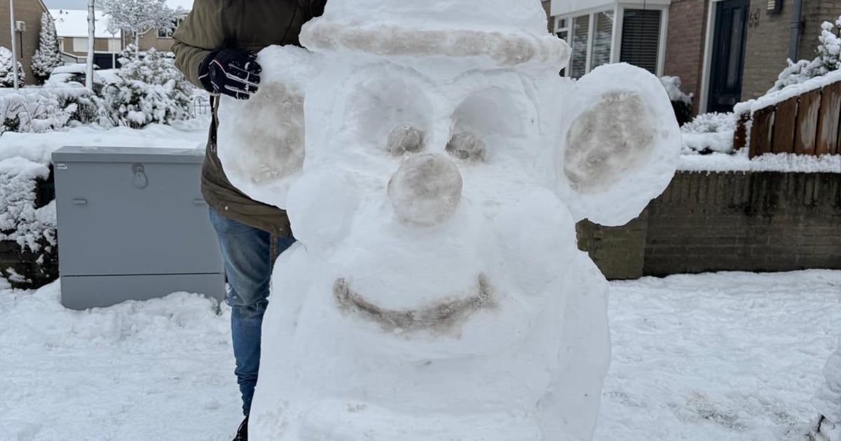 SpongeBob, Minion en Olaf: Erik uit Eindhoven maakt prachtige ...