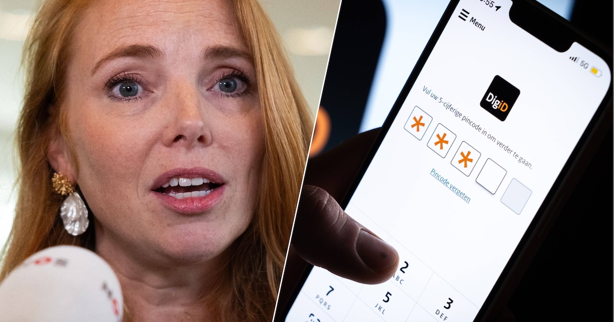 Rel rond DigiD bereikt climax: staatssecretaris verbiedt overname door ...