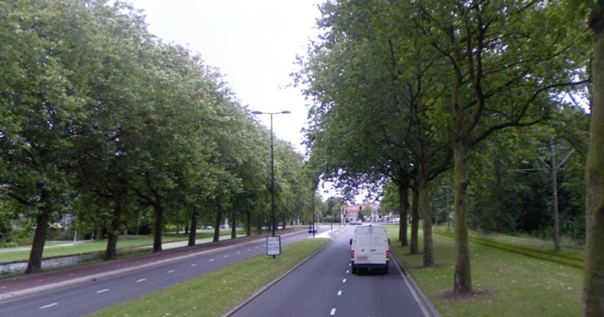 Scooter botst frontaal op auto in Rotterdam | Rotterdam | AD.nl