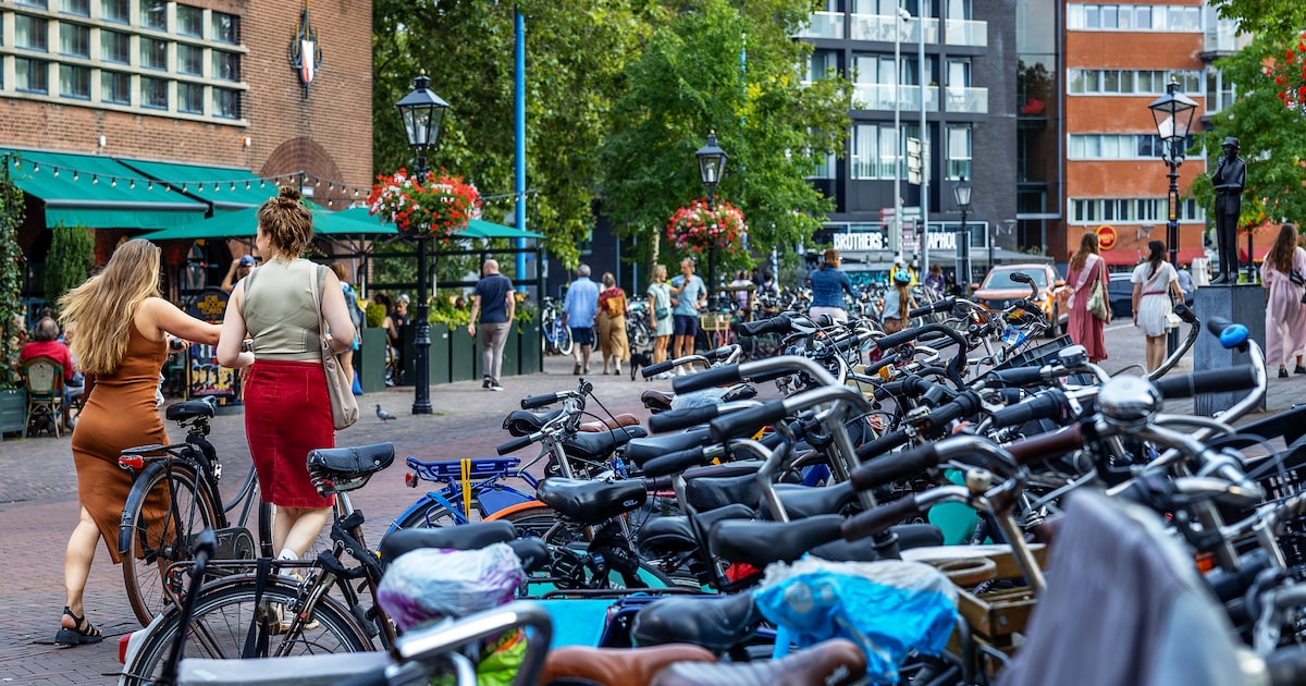 Meer dan 4000 inwoners bestolen van fiets in Utrecht, alleen in Den ...