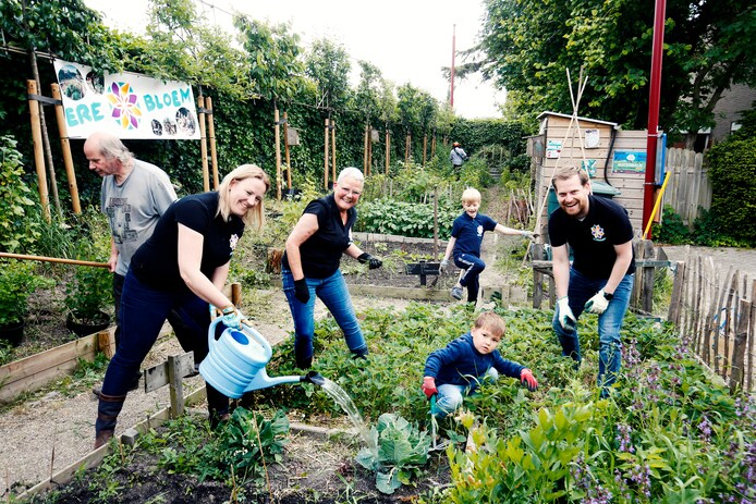 Eetbare pluktuin maakt Nieuwegeinse woonwijk niet alleen groen, maar ...
