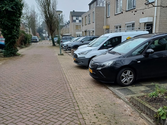 Tegels en auto’s moeten weer uit de tuin, zegt Beter Voor Dordt ...