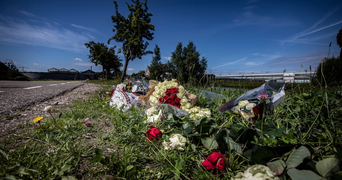 Poolse man (29) die Jim Mulder doodreed blijft vastzitten: ‘Hij had ...