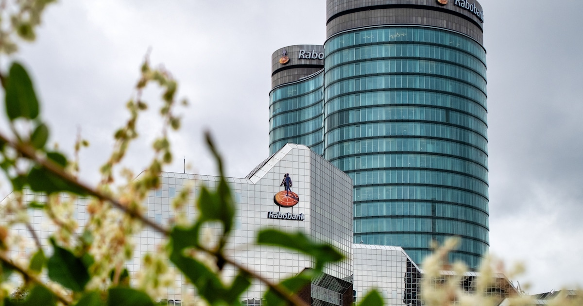 Banken zetten zich volop in voor Europese cryptomunt: ook Rabobank en ...