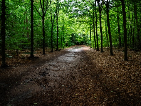 Staatsbosbeheer organiseert excursies in Kroon’s polders Vlieland voor ...