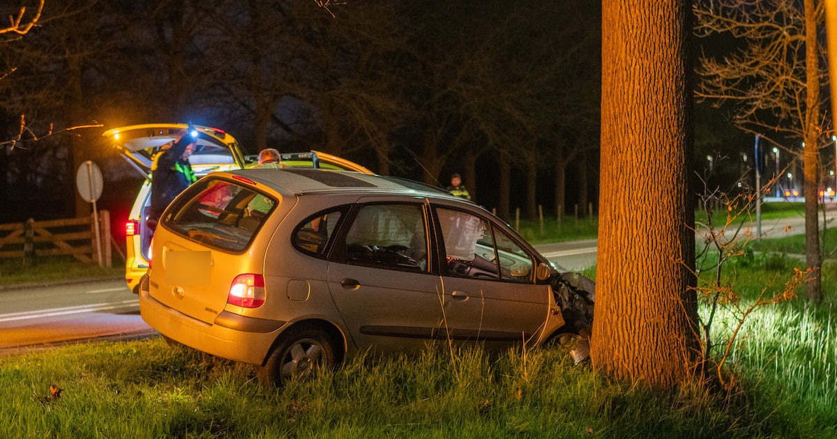 Auto botst met zijkant tegen boom in Utrecht | Regio | AD.nl