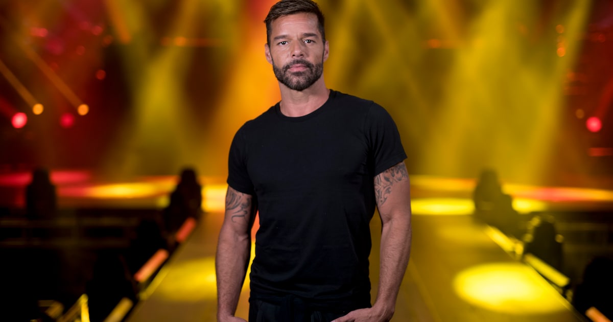 Ricky Martin klaagt neef voor 20 miljoen dollar aan | Show | AD.nl