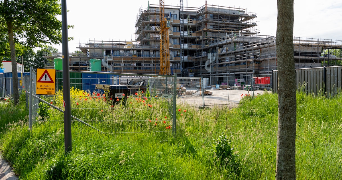 Bouw 32 woningen in Epe is al in volle gang, omwonenden voelen zich ...