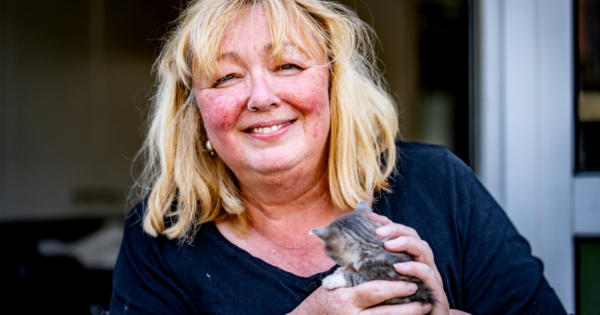Poesje voor poesje werkt Lisette aan oplossing voor zwerfkattenprobleem ...