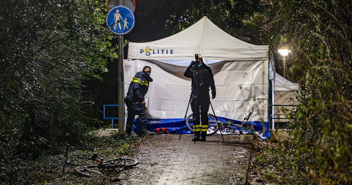 16-jarige jongen en 18-jarige man doodgeschoten in Amsterdam ...