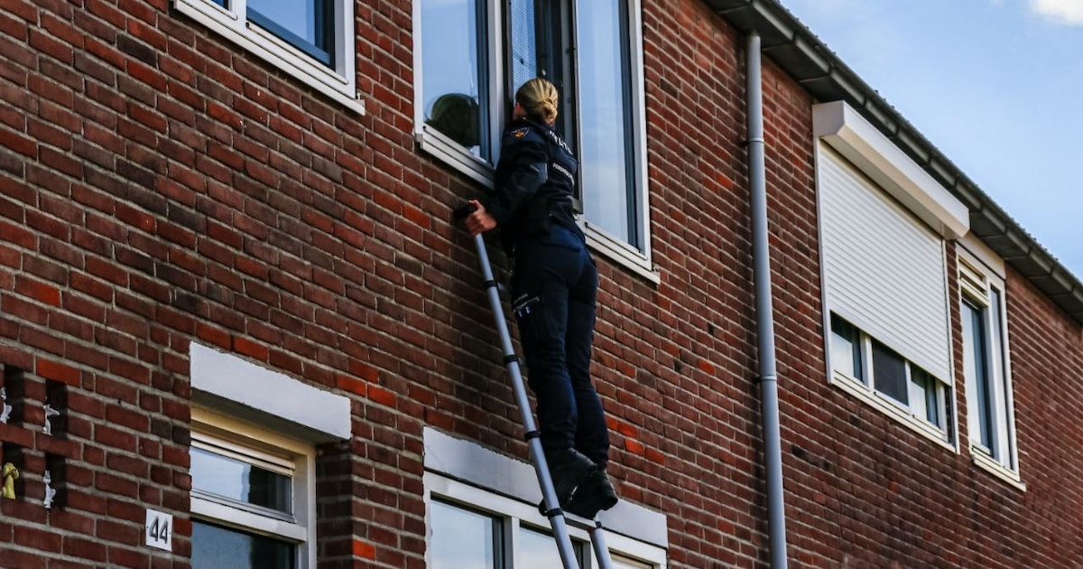 Politie: overlijden bewoner met slangen in Enschede is noodlottig ...