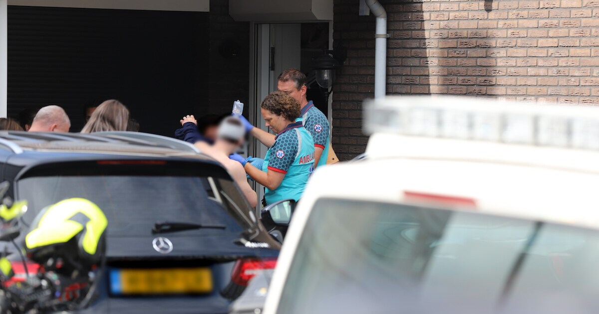 Nep AH-bezorgers overvallen en mishandelen tieners in woning: ‘Verschrikkelijk en traumatisch ...