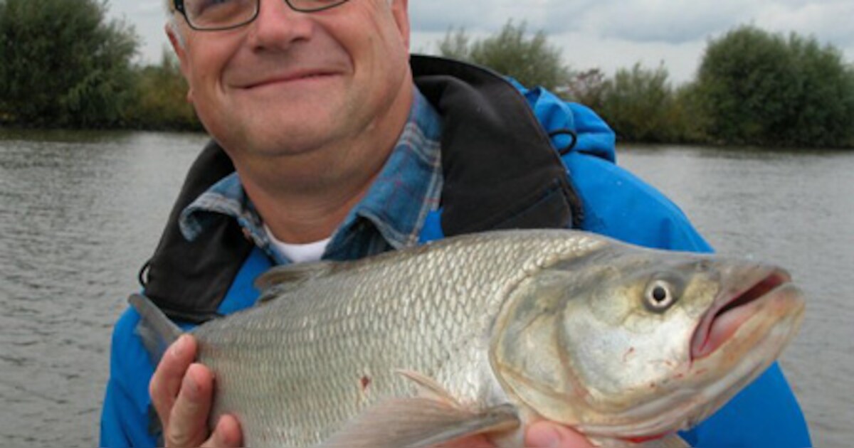 Ed Stoop stopt na 20 jaar met Vis TV | Show | AD.nl