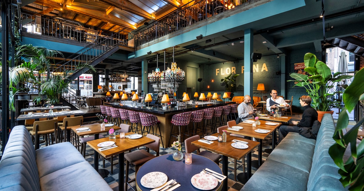 Diehlprijs: Flor Fina favoriet bij publiek, voorkeur jury gaat uit naar ...