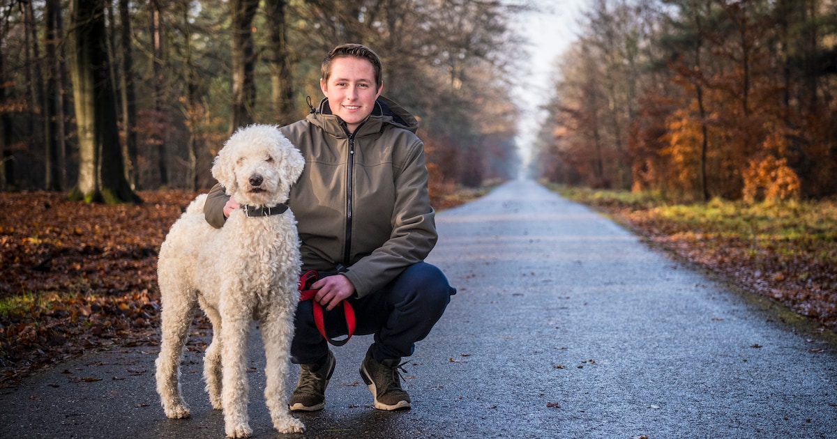 Timo maakte dé beelden van roedel Veluwse wolven: ‘Ze denken vast dat ...