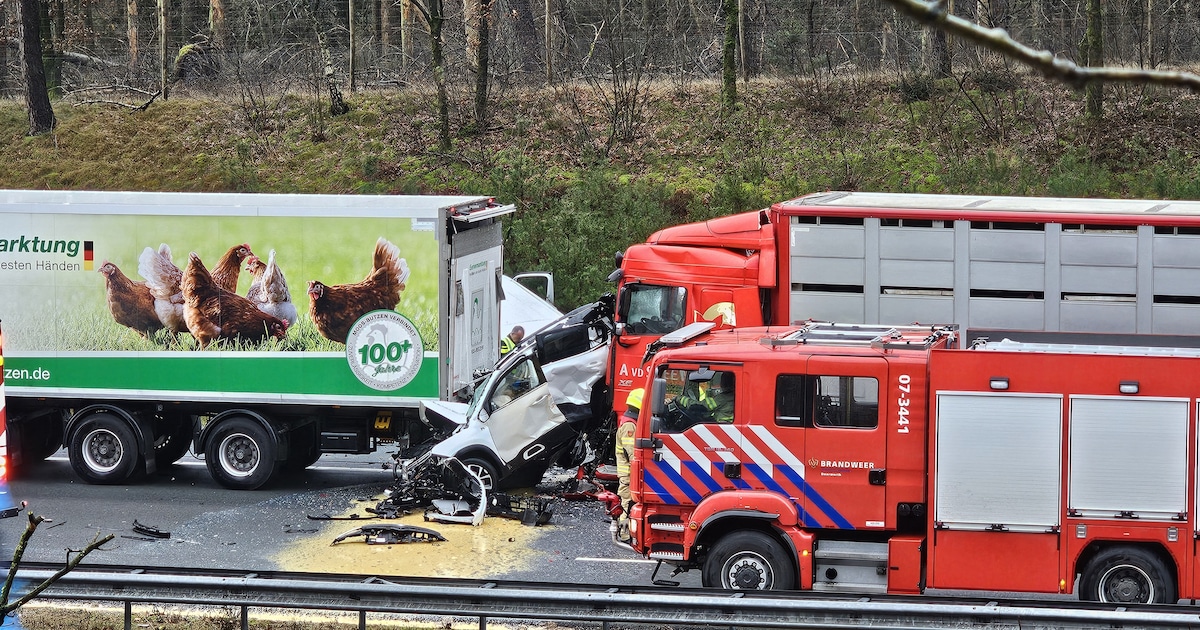 Dode door ernstig ongeluk op A50; personenauto geplet tussen twee vrachtwagens | Binnenland | AD.nl
