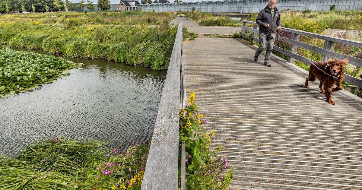 Natuurlijk Westland geeft excursie over schoner water in glazen stad ...