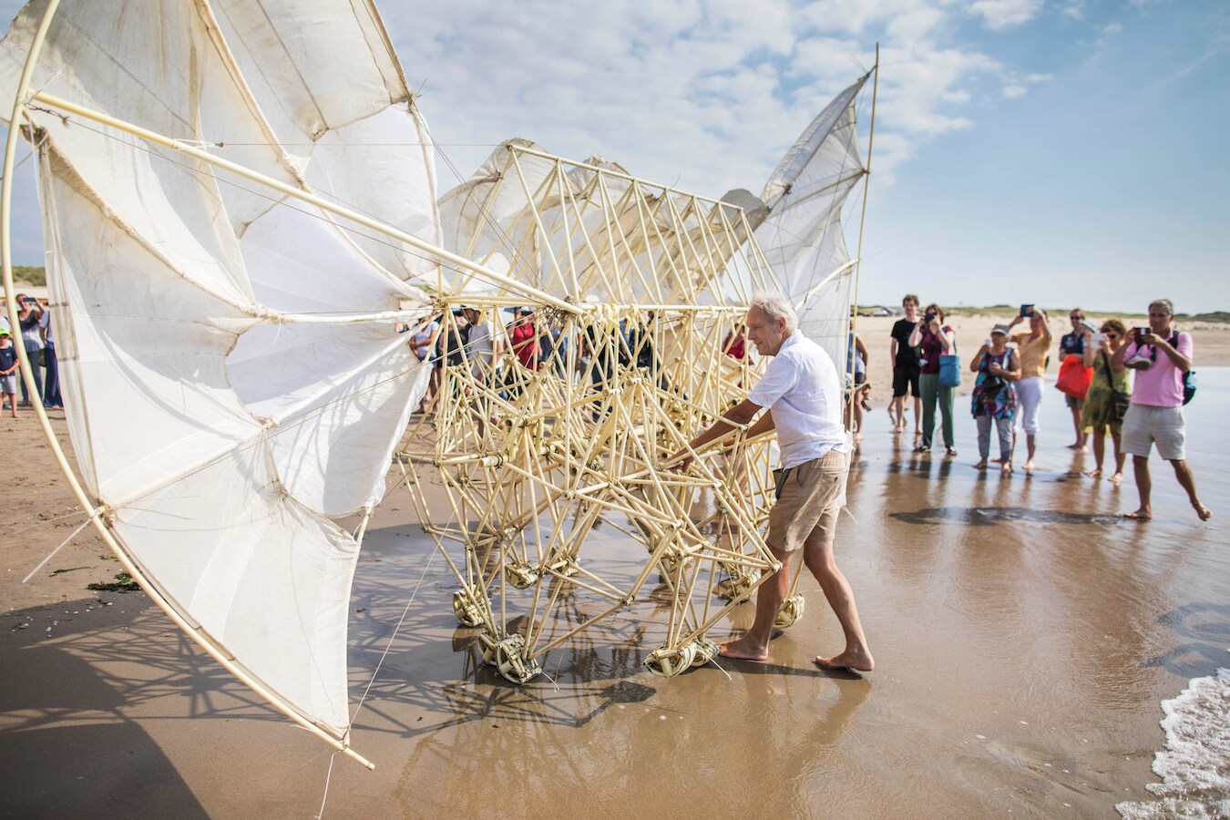 Dansen met Jansen, moet kunnen | Foto | AD.nl
