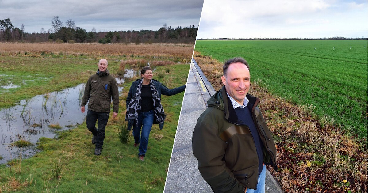 Natte weilanden en tóch verdroogt Nederland: de verborgen watercrisis ...