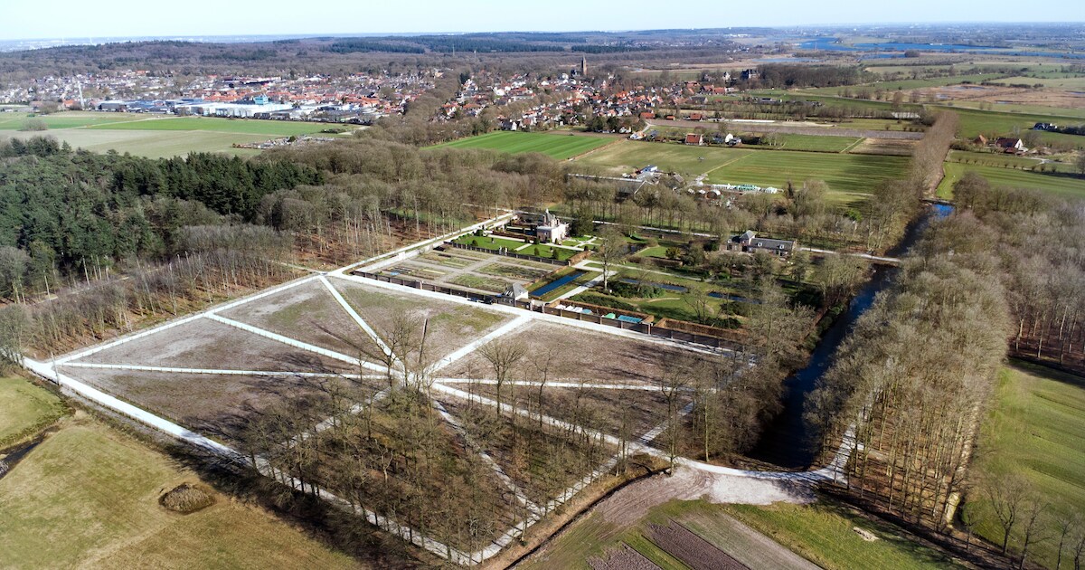 Zo werd het eeuwenoude Sterrenbos van Leersum hersteld na de ...