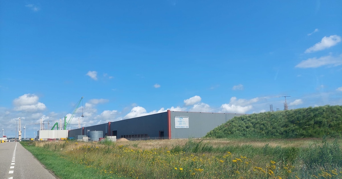 Bulk Terminal Zeeland wordt voor jaar gesloten vanwege verdenking ...