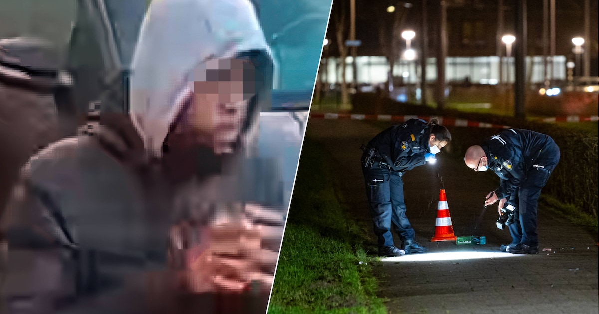 Alle alarmbellen gaan af als in Rotterdam een seriemoordenaar rond ...