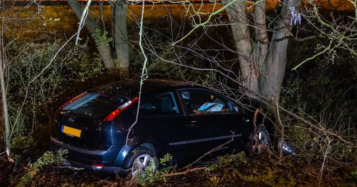 Auto uit de bocht op afrit A20 Schiedam-Noord en botst tegen boom ...