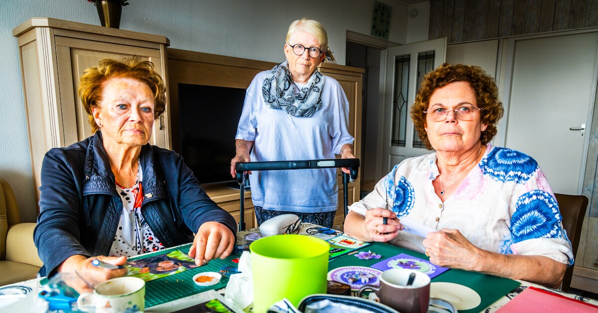 Jenny durft niet meer met de Drechthopper naar de bridge ...