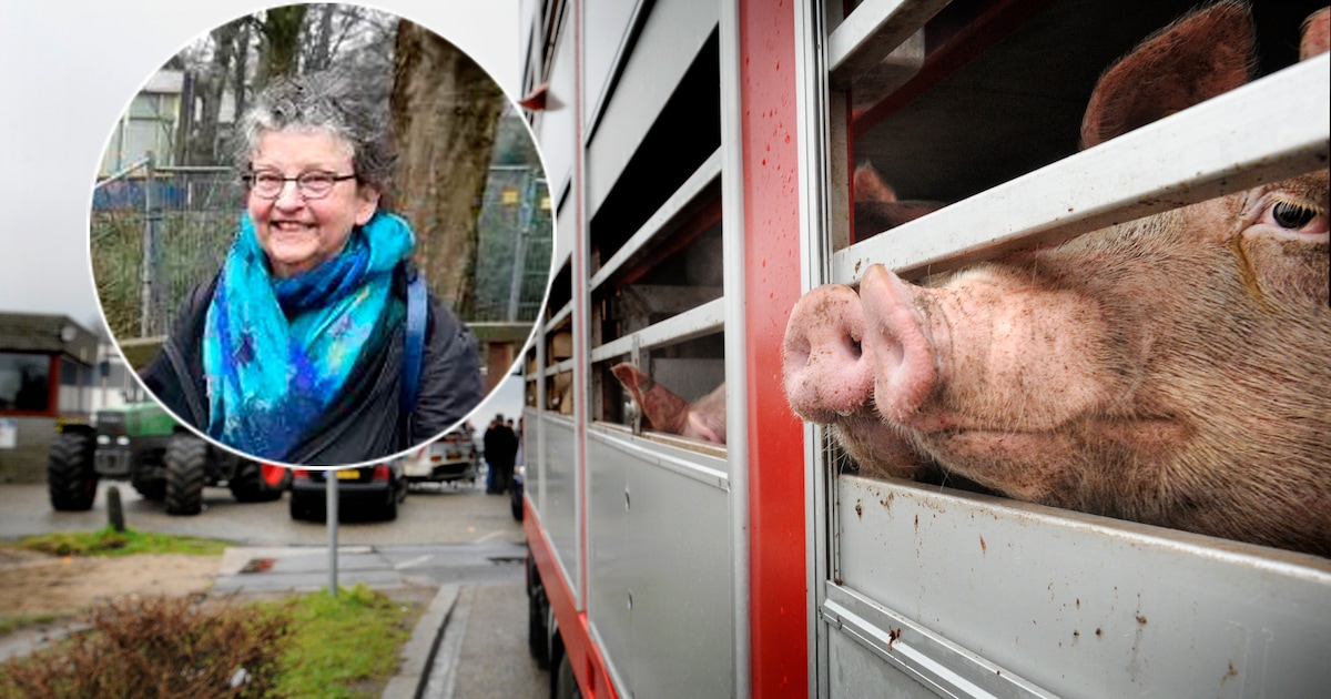 Beatrijs wil op avond van Dodenherdenking stilstaan bij ‘alle dode ...