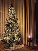 Staat jouw kerstboom al te schitteren? Stuur je foto in! | Foto | AD.nl