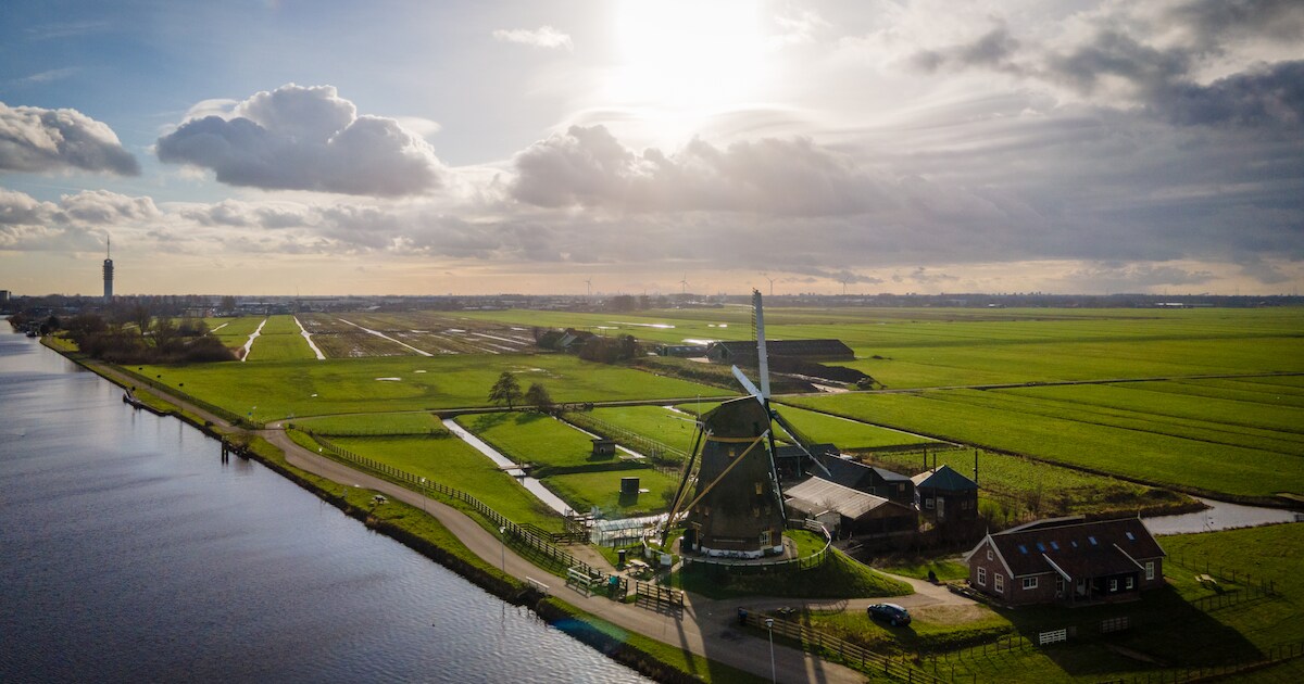 Hoe gaat die woonwijk in de Gnephoek er nou uitzien (en wanneer kan ik ...