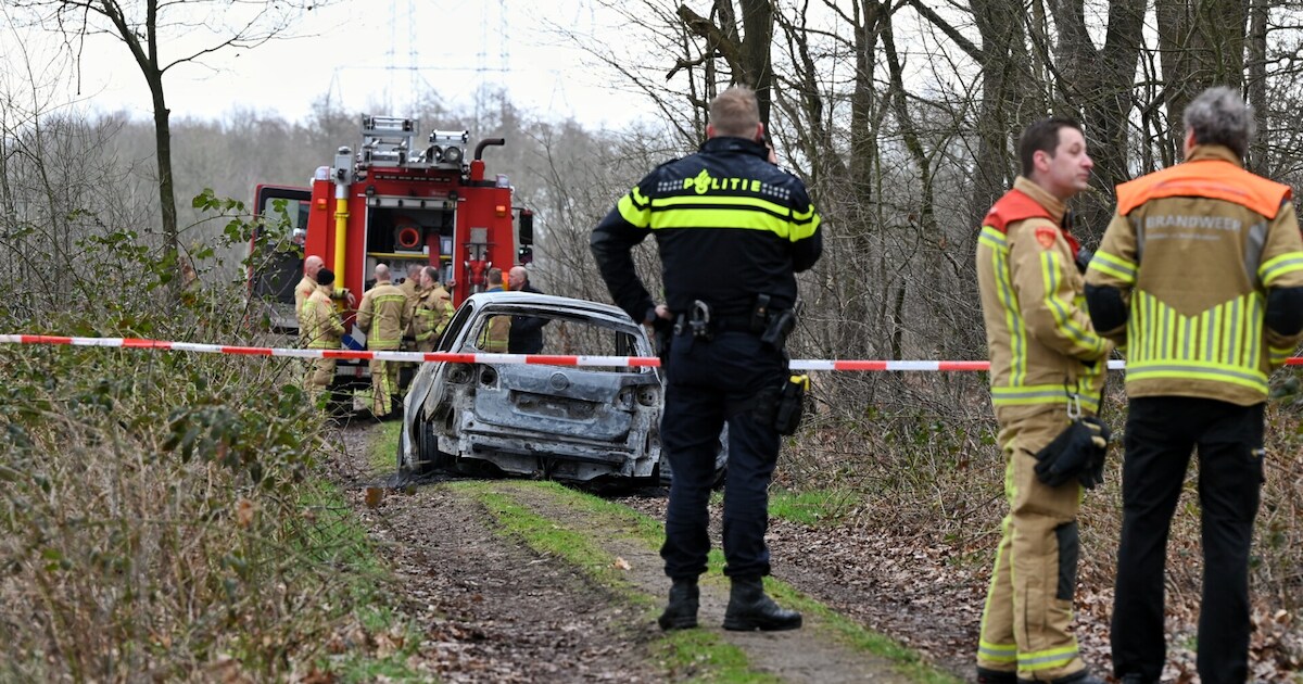Boswachter ontdekt brandende auto, maar weet dan nog niet dat een dode ...